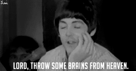 jane goodall | Tag | PrimoGIF