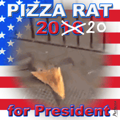 Pizza Frat GIFs - Get the best GIF on GIPHY