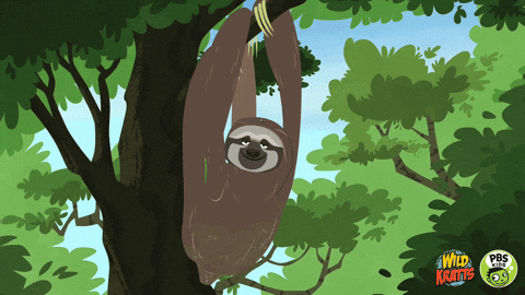 Blinking-tree GIFs - Get the best GIF on GIPHY
