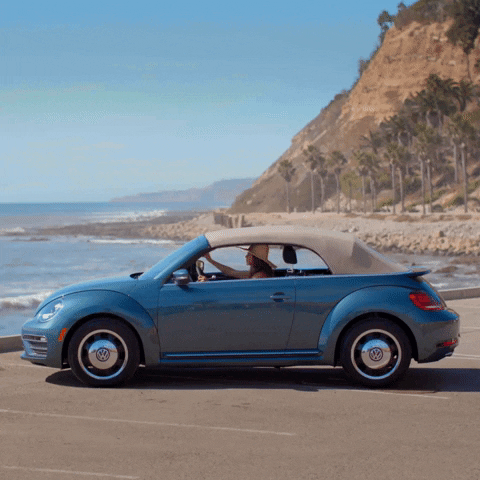 Vwbeetle GIFs - Get the best GIF on GIPHY