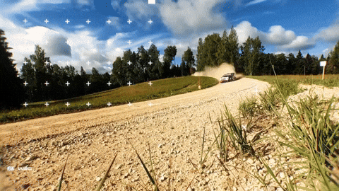FIA World Rally Championship GIFs on GIPHY - Be Animated
