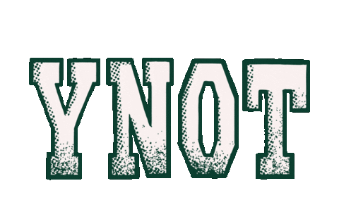 Y Not Festival GIFs on GIPHY - Be Animated