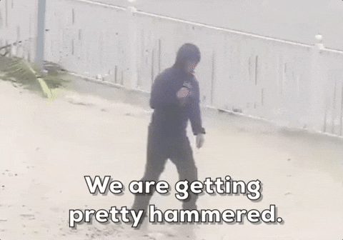 Reporter GIFs - Get the best GIF on GIPHY