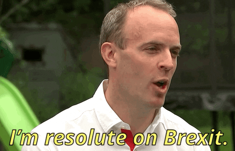 Dominic-raab GIFs - Get the best GIF on GIPHY