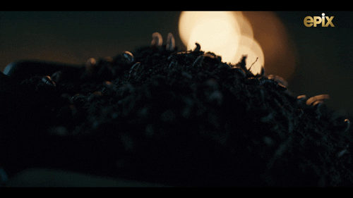 Episode 3 GIFs on GIPHY - Be Animated