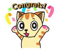 Congrats Cat Meme