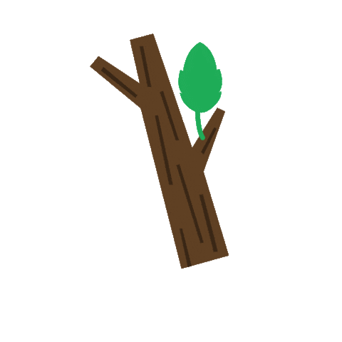Stick Twig Sticker by National Trust for iOS & Android | GIPHY