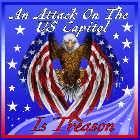 The Anniversary of the Jan 6th Insurrection by INTO ACTION | GIPHY