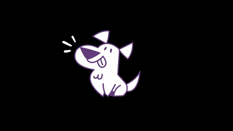 Perro-feliz GIFs - Get the best GIF on GIPHY