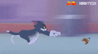 Cat Chasing Mouse Gif