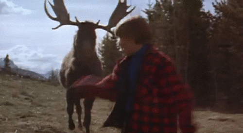 Wild America GIFs - Get the best GIF on GIPHY