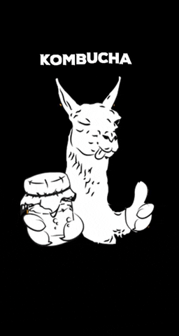 Microbiota GIFs - Get the best GIF on GIPHY