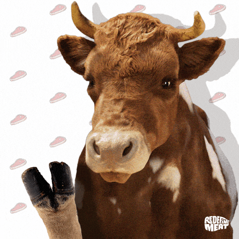 Cow Cri GIF by Redefine Meat - Find & Share on GIPHY