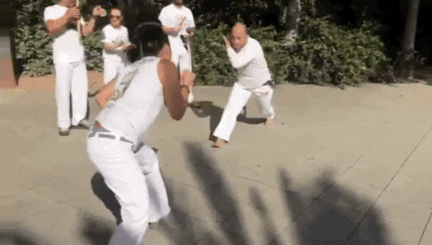 Xfitcapoeira GIFs - Get the best GIF on GIPHY