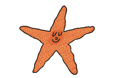 Animated Starfish Gif