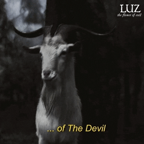 The-flowers-of-evil GIFs - Get the best GIF on GIPHY