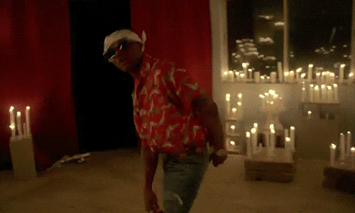 Joro GIFs - Get the best GIF on GIPHY