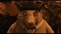 Fantastic Mr Fox Gif