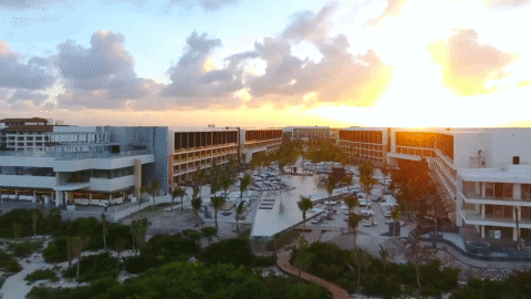 Luxury Hotel GIF by PalladiumHotelGroup - Find & Share on GIPHY