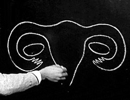 Molly Grows Up GIFs - Get the best GIF on GIPHY