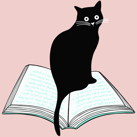 Cat Reading Book Gif