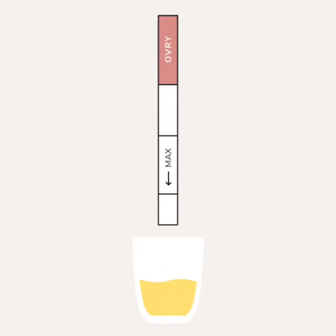Pregnancy Ovulation GIF - Find & Share on GIPHY