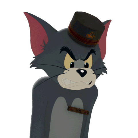 Tom And Jerry Tom Cat