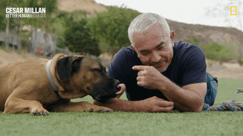 Cesar Millan GIFs - Get the best GIF on GIPHY