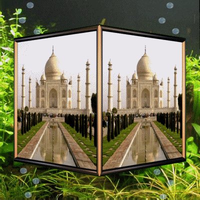 Taj Mahal India GIF - Find & Share on GIPHY