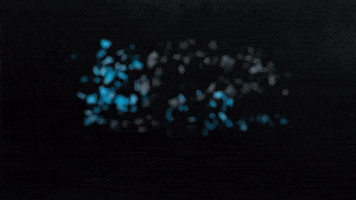 Game Changing Performance GIFs on GIPHY - Be Animated