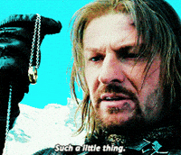 Lord Of The Rings Funny Gif