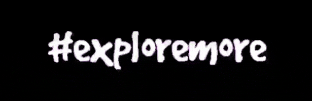 Explore More GIFs - Get the best GIF on GIPHY