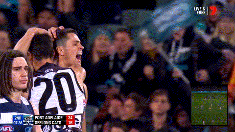 Aussie Rules Celebrations GIF by AFL - Find & Share on GIPHY
