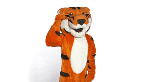 RITchie GIFS by Rochester Institute of Technology | GIPHY