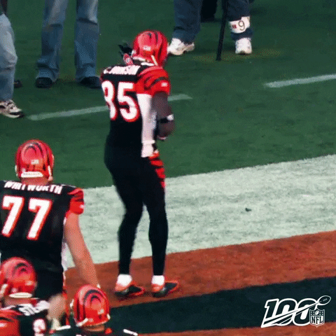 Bengal Nation GIFs - Get the best GIF on GIPHY