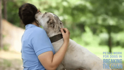 Dog Love GIF by PETA - Find & Share on GIPHY