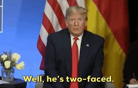 Two-faced GIFs - Get the best GIF on GIPHY