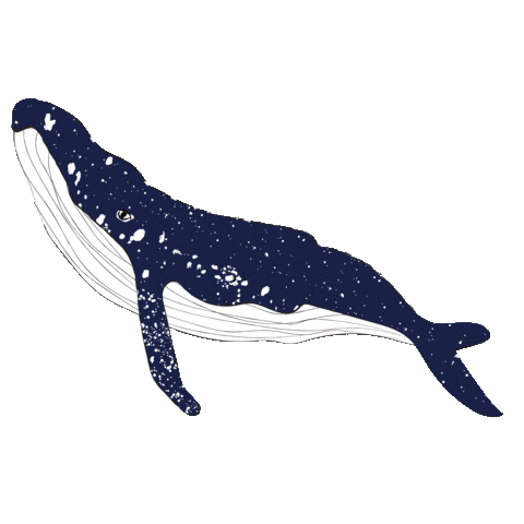 Whale Swimming Sticker by Teaspoon studio for iOS & Android | GIPHY