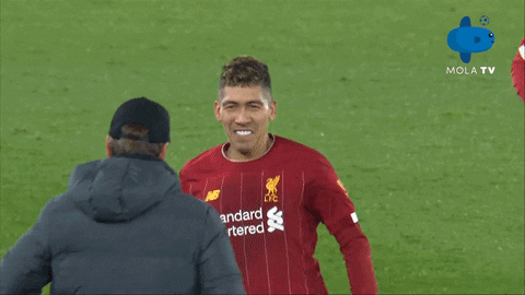 Fans Liverpool GIF by MolaTV - Find & Share on GIPHY