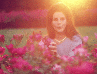 Gif Del Himno Nacional De Lana Del Rey