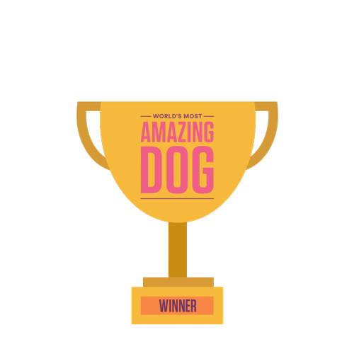 Winner Pets Sticker by World’s Most Amazing Dog for iOS & Android | GIPHY