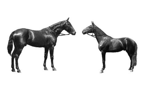 Saxon + Parole GIFs on GIPHY - Be Animated