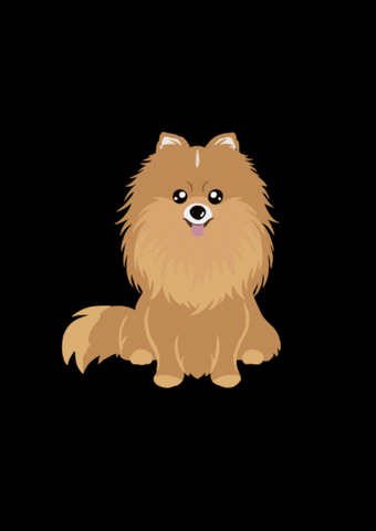 Cutie Love GIF - Find & Share on GIPHY
