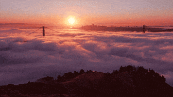 Fog GIFs on GIPHY - Be Animated