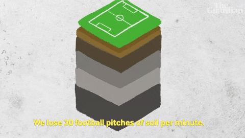 Soccer Pitch GIFs - Get the best GIF on GIPHY