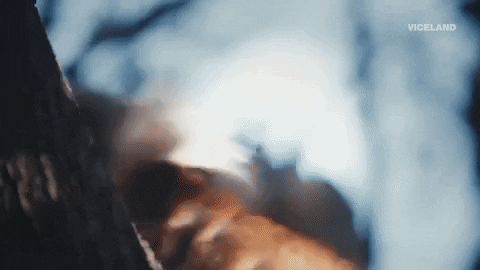 Hamiltons-pharmacopeia GIFs - Get the best GIF on GIPHY