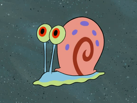 Gary An Seilide Meow Gif