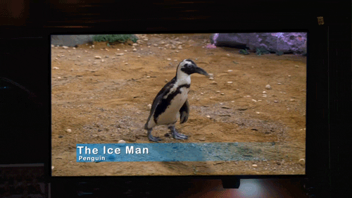The Ice Man GIFs - Get the best GIF on GIPHY
