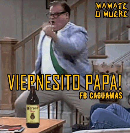 Caguama GIFs - Find & Share on GIPHY