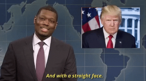 And With A Straight Face GIFs - Get the best GIF on GIPHY